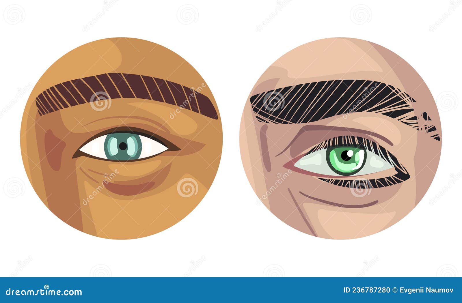 Human Eye of Various Color with Brow Curve and Skin Circle View Vector ...