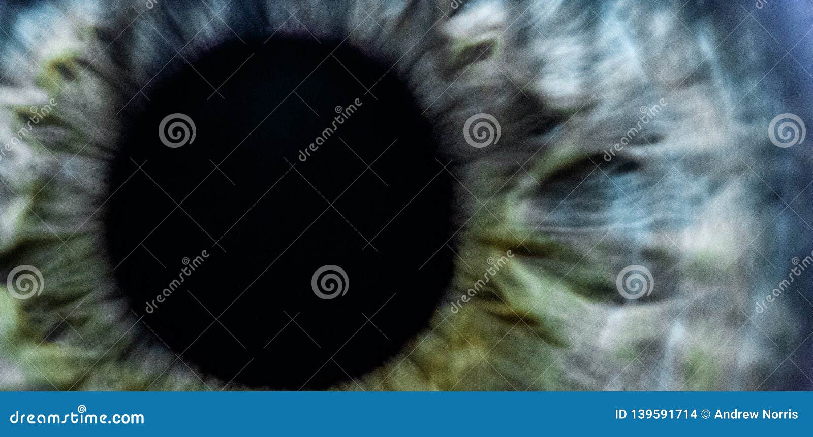Human Eye stock photo. Image of eyelid, macro, colors - 139591714