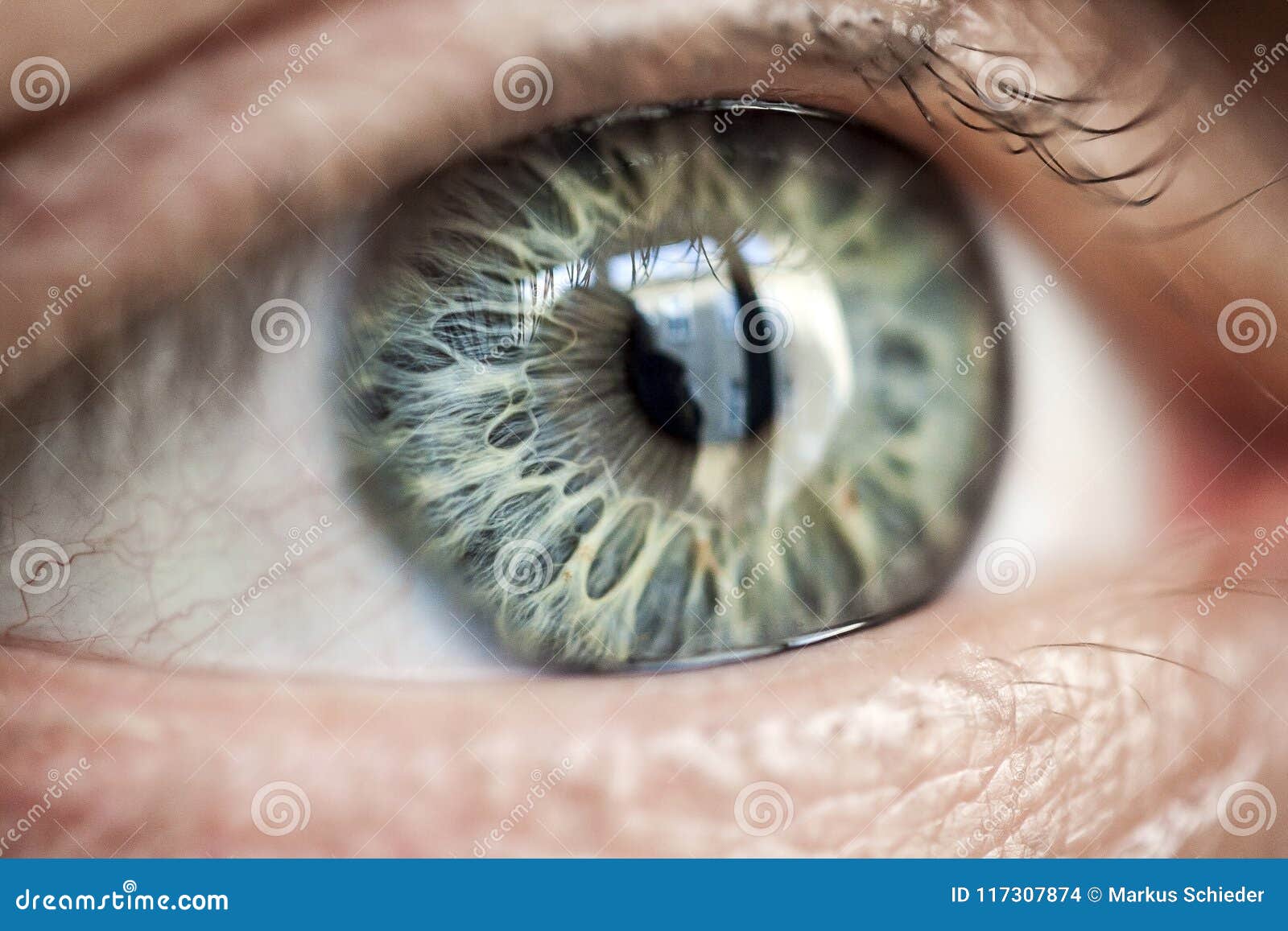 Human Eye with Very Special Patterned Iris Stock Photo - Image of view ...