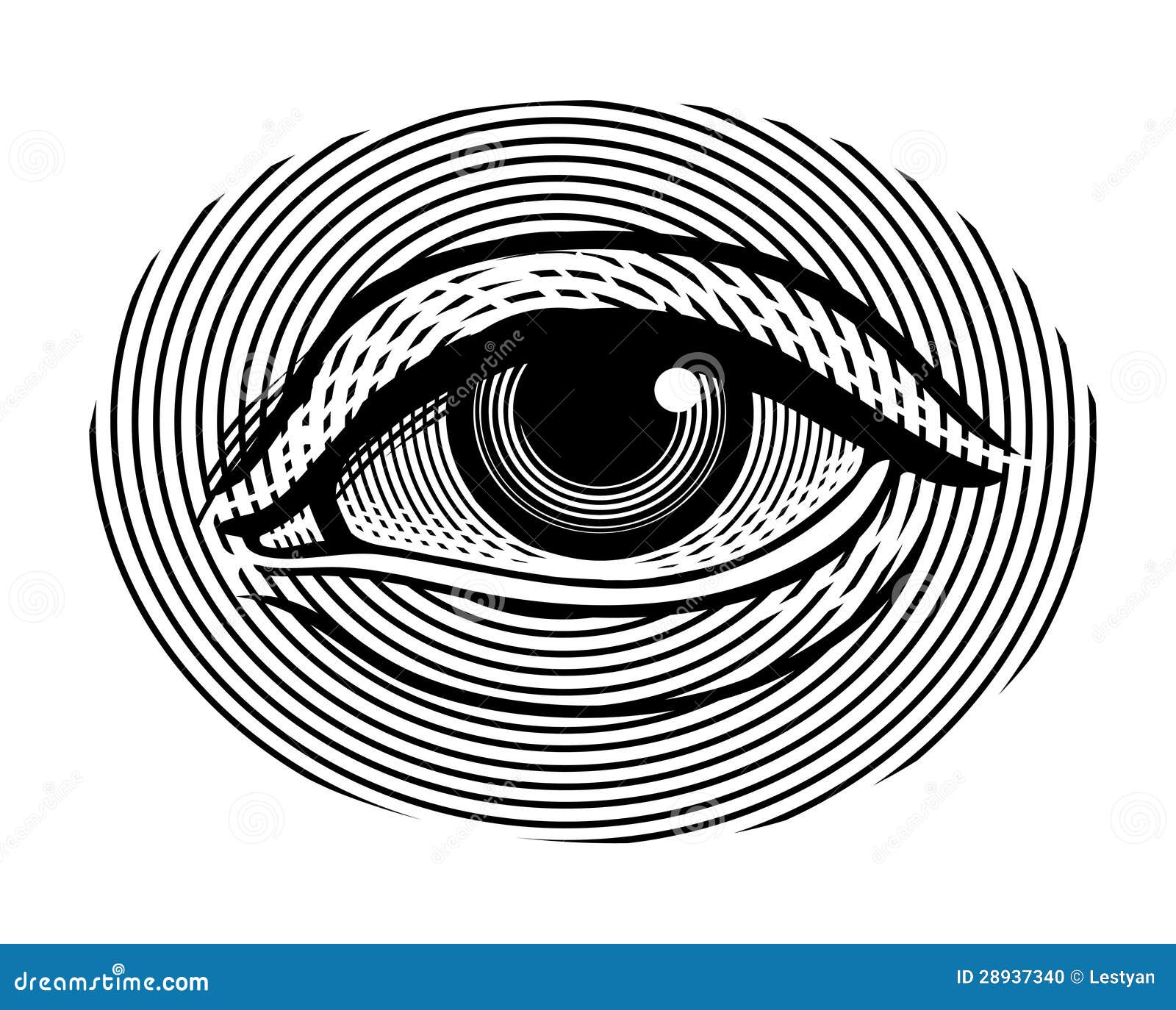 Human Eye in Vintage Engraved Style Stock Vector - Illustration of ...