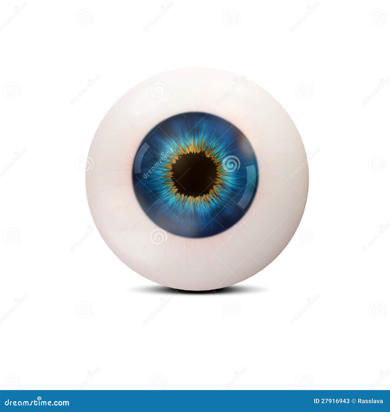 Human Eye on White Background Stock Illustration - Illustration of ...