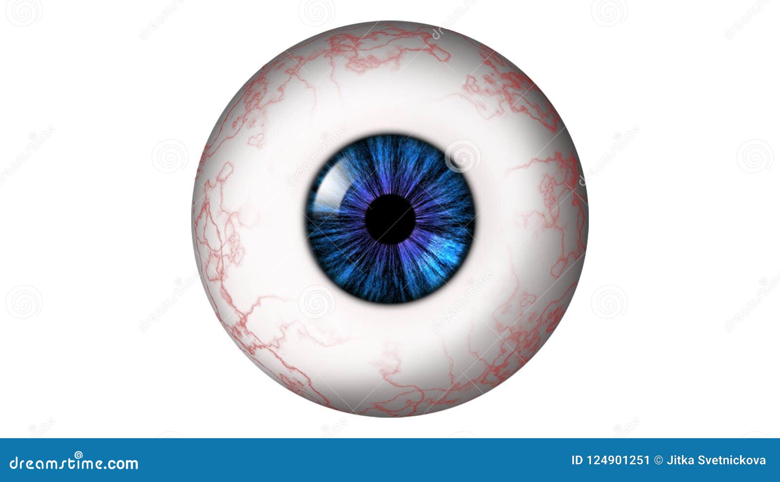 Blue Iris Eye Realistic Vector Set Design Isolated On White Bac ...