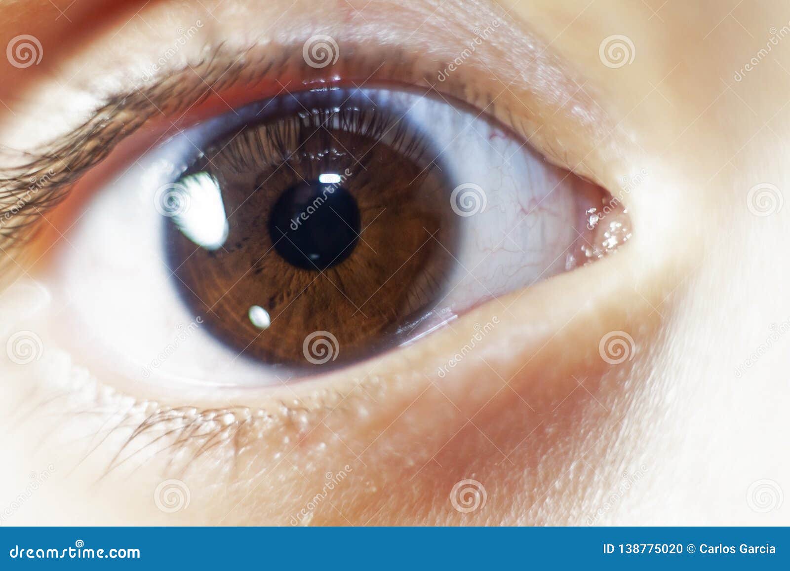 Human eyeball closeup stock photo. Image of look, sight - 138775020