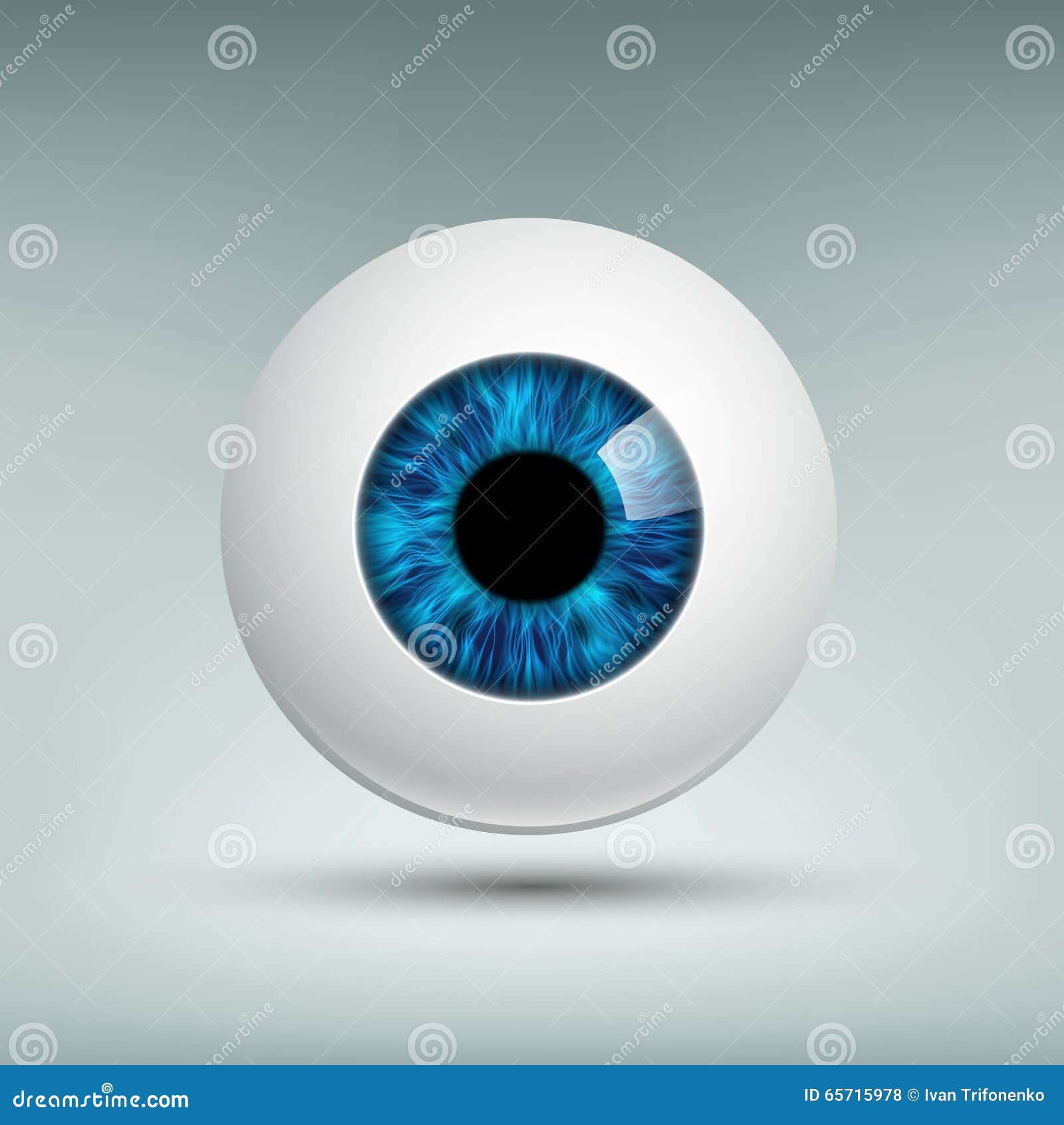 Human Eyeball. People Anatomical Items Macro View Vision 3d Medical ...