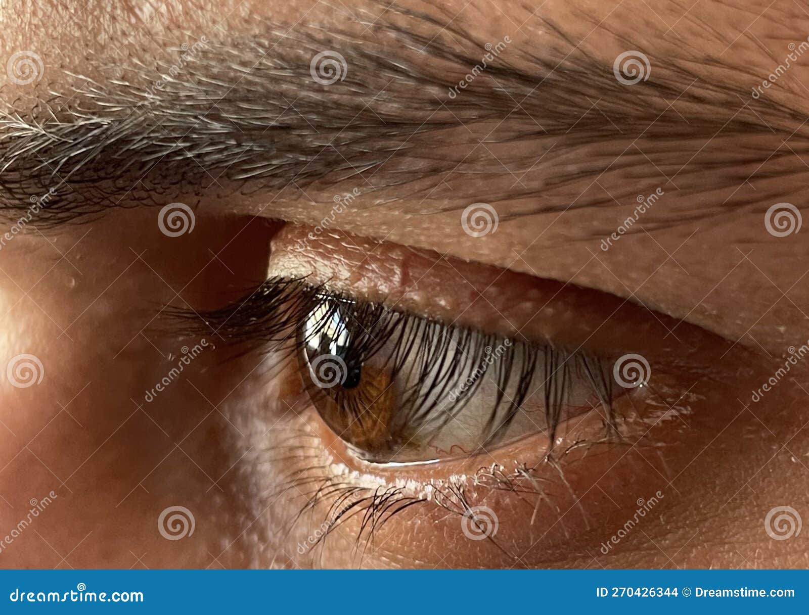 HUMAN EYES, Beauty of Nature, Vision Stock Photo - Image of eyebrow ...