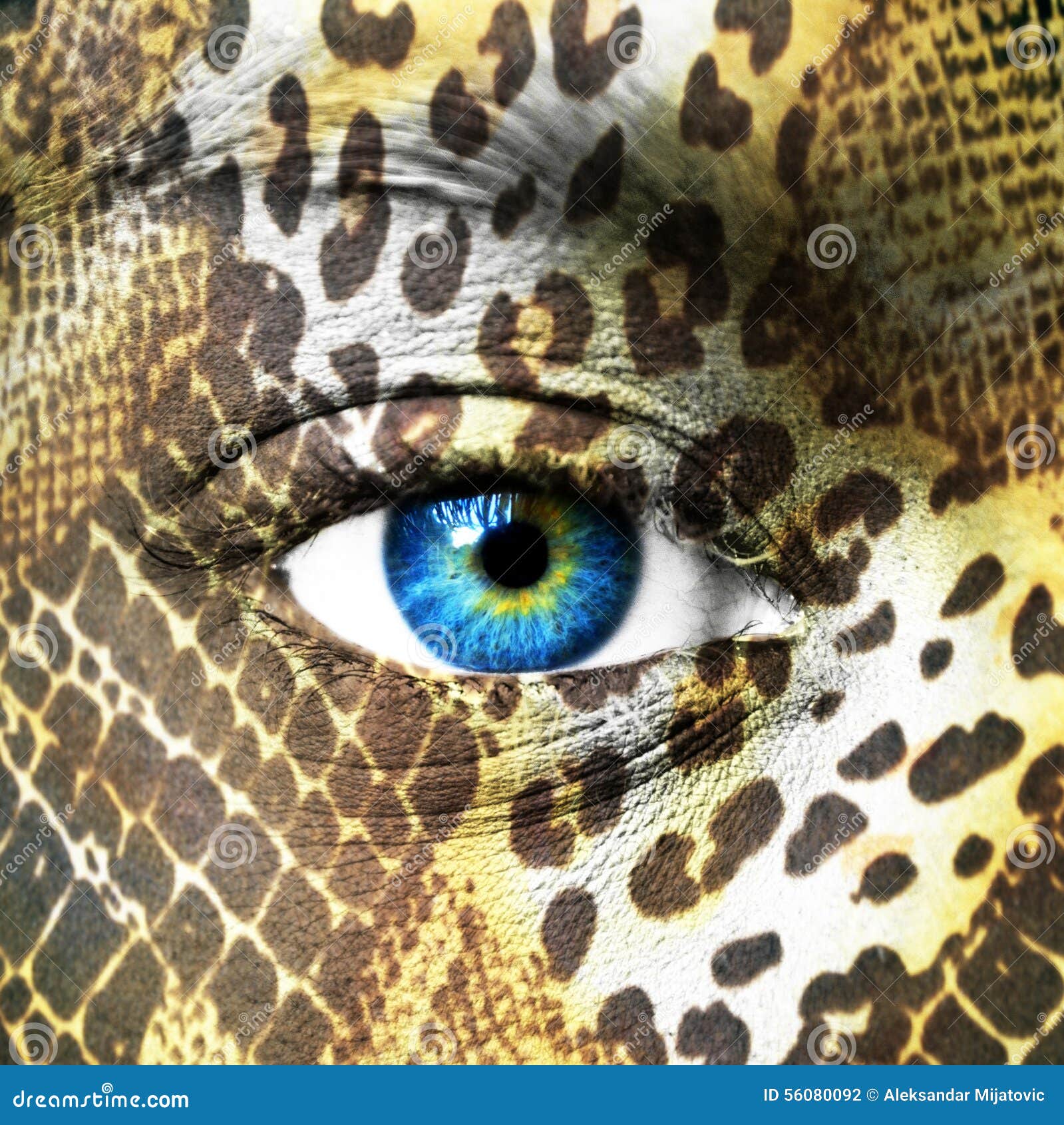Human Face with Animal Patterns Stock Photo - Image of concept, black ...