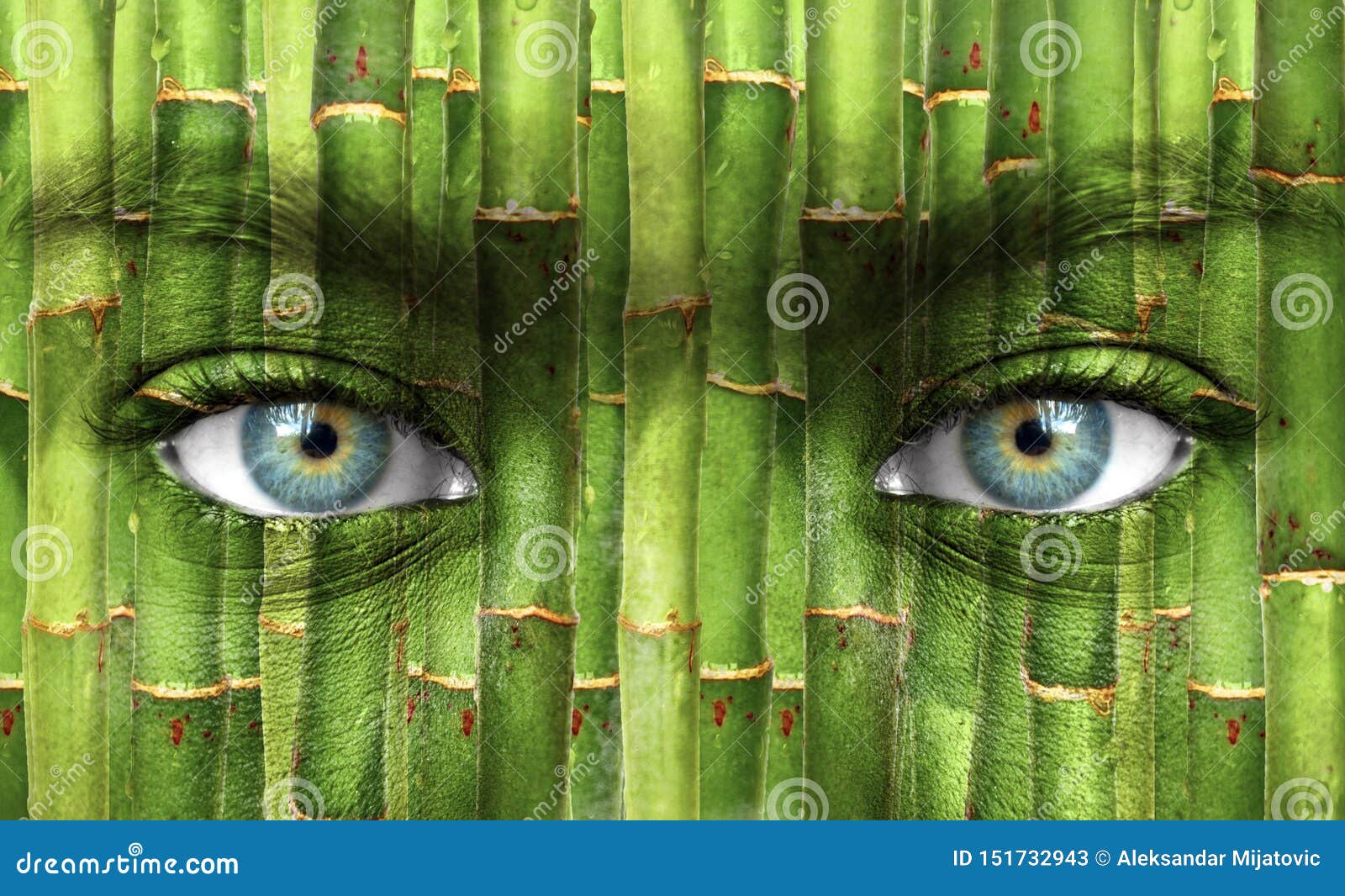 Human Face with Bamboo Pattern Stock Image - Image of close, portrait ...