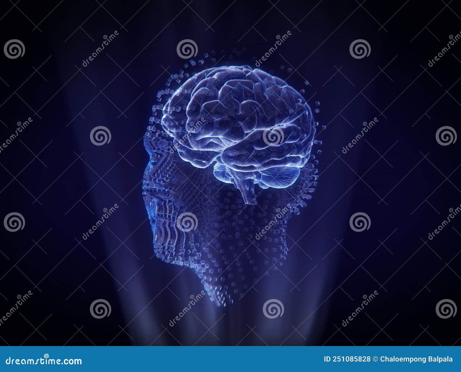 Human Face And Brain Hologram Wireframe Style. Stock Photo ...