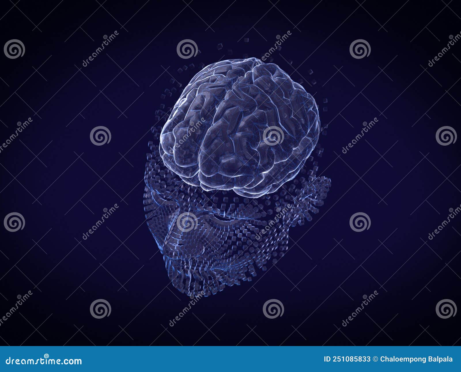Human Face And Brain Hologram Wireframe Style. Royalty-Free Stock ...