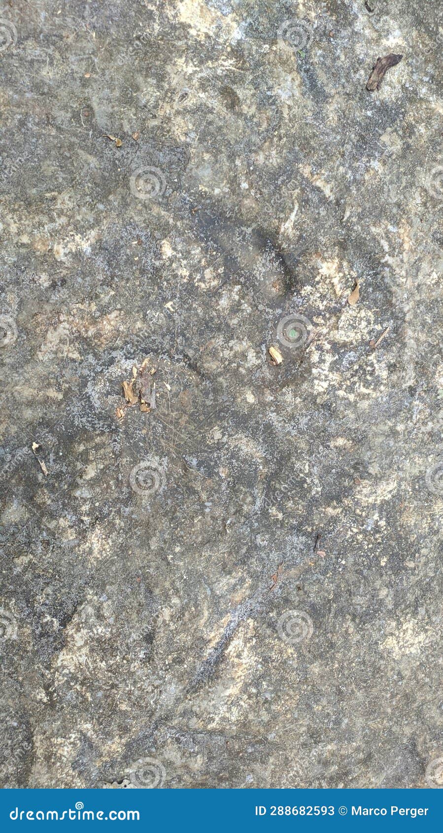 Human Face Carved by Nature on a Rock Stock Image - Image of flooring ...