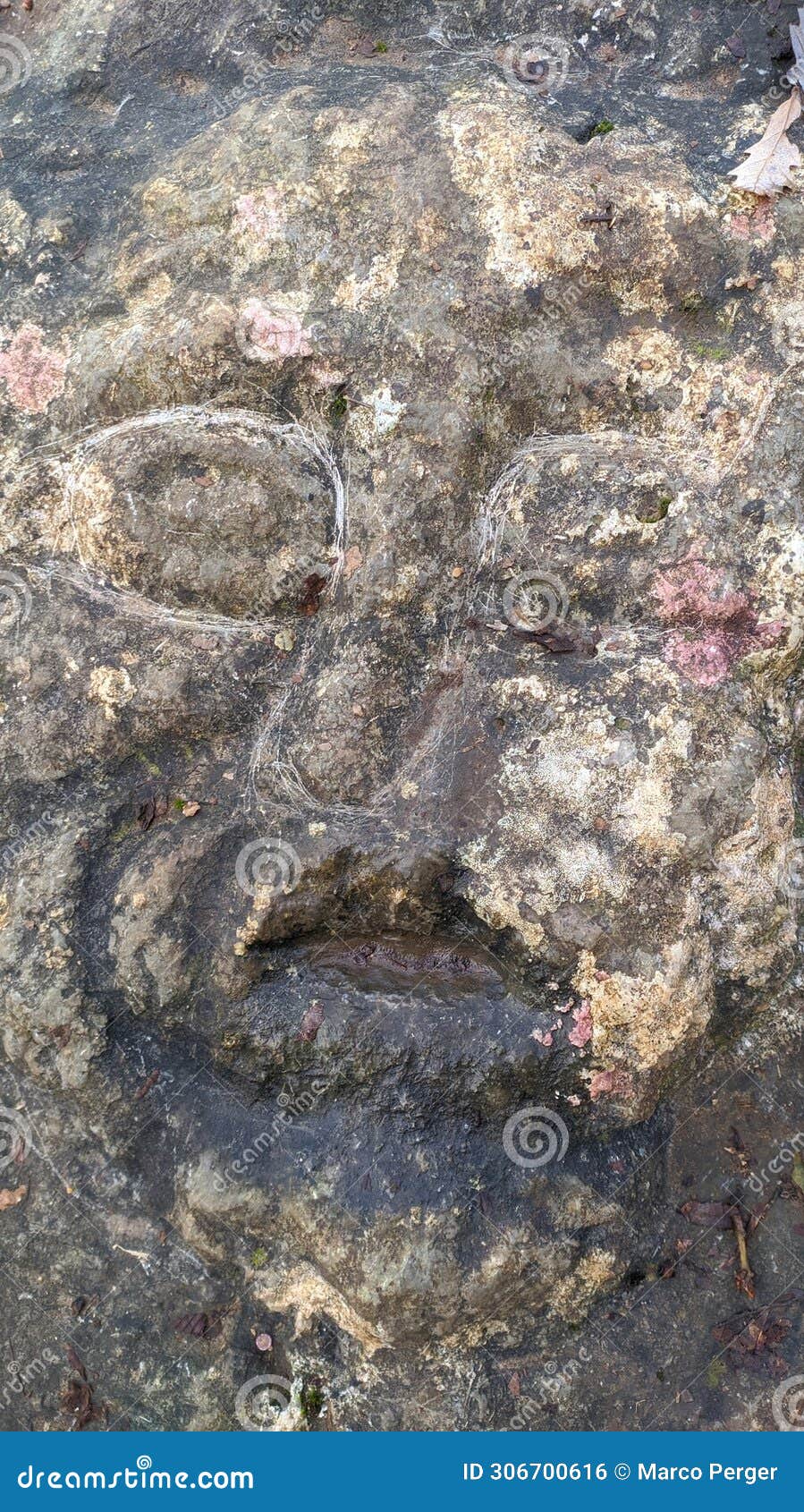 Human Face Depicted Naturally on a Rock Stone Stock Photo - Image of ...