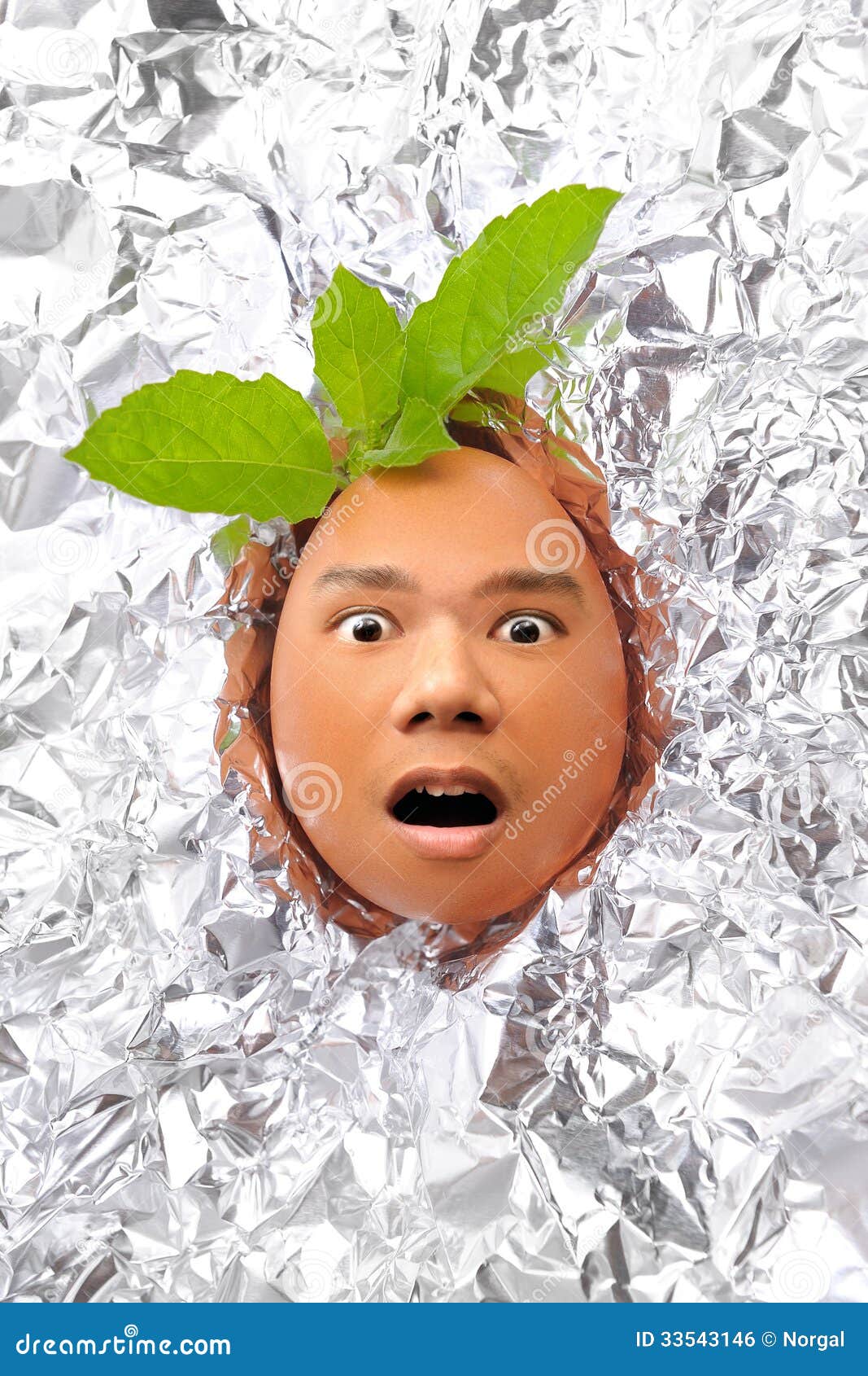 Human face on egg stock photo. Image of surprise, food - 33543146