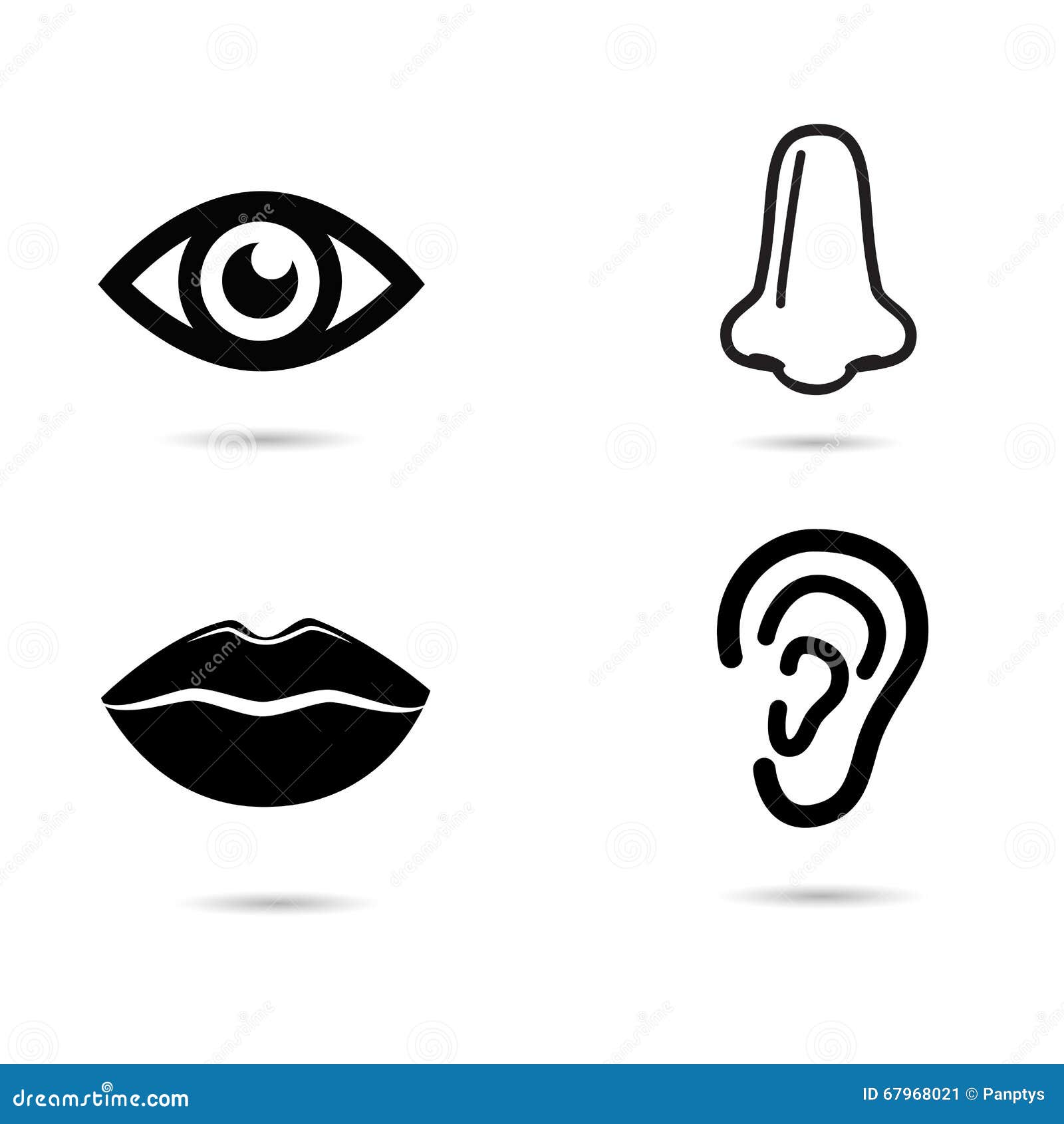 Human Face Elements - Icon Set. Stock Vector - Illustration of anatomy ...