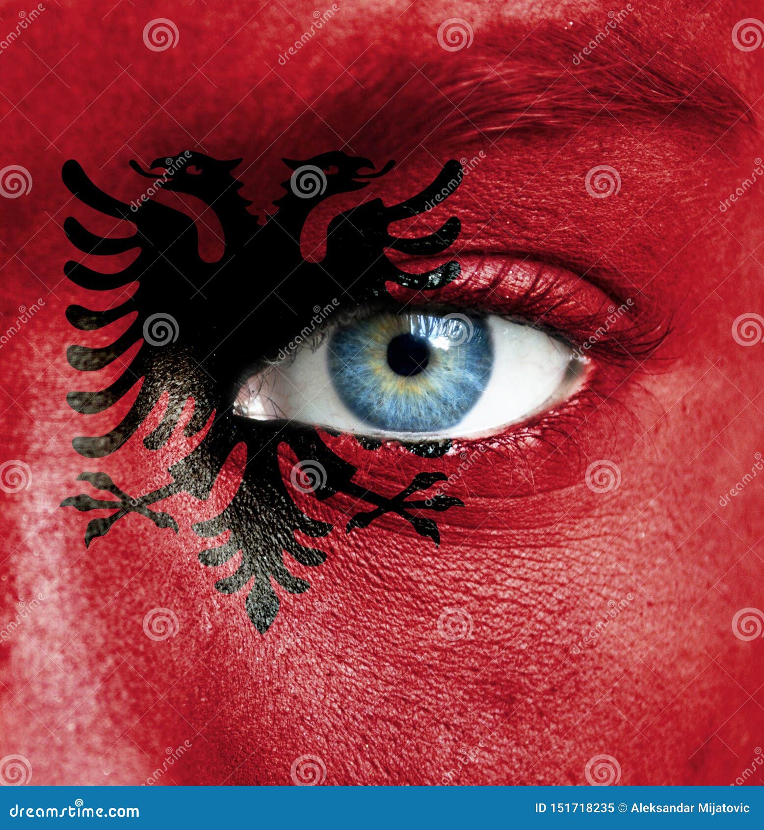 Human Face Painted with Flag of Albania Stock Image - Image of person ...