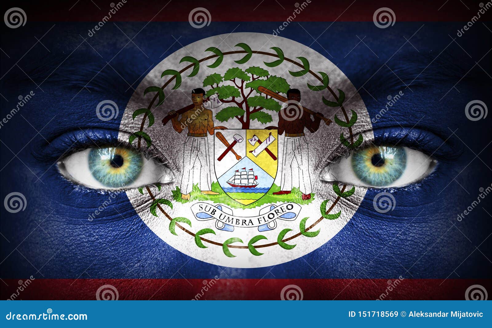 Human Face Painted with Flag of Belize Stock Image - Image of adult ...