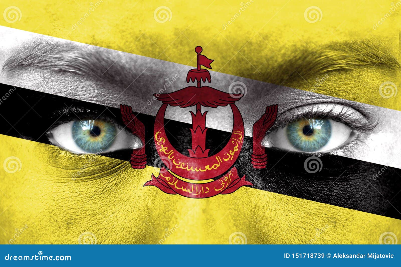 Human Face Painted with Flag of Brunei Stock Image - Image of people ...