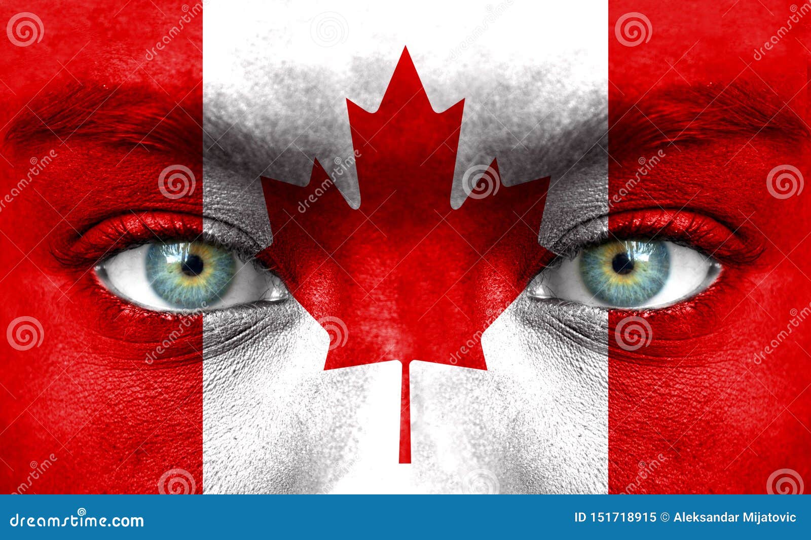 Human Face Painted with Flag of Canada Stock Image - Image of culture ...