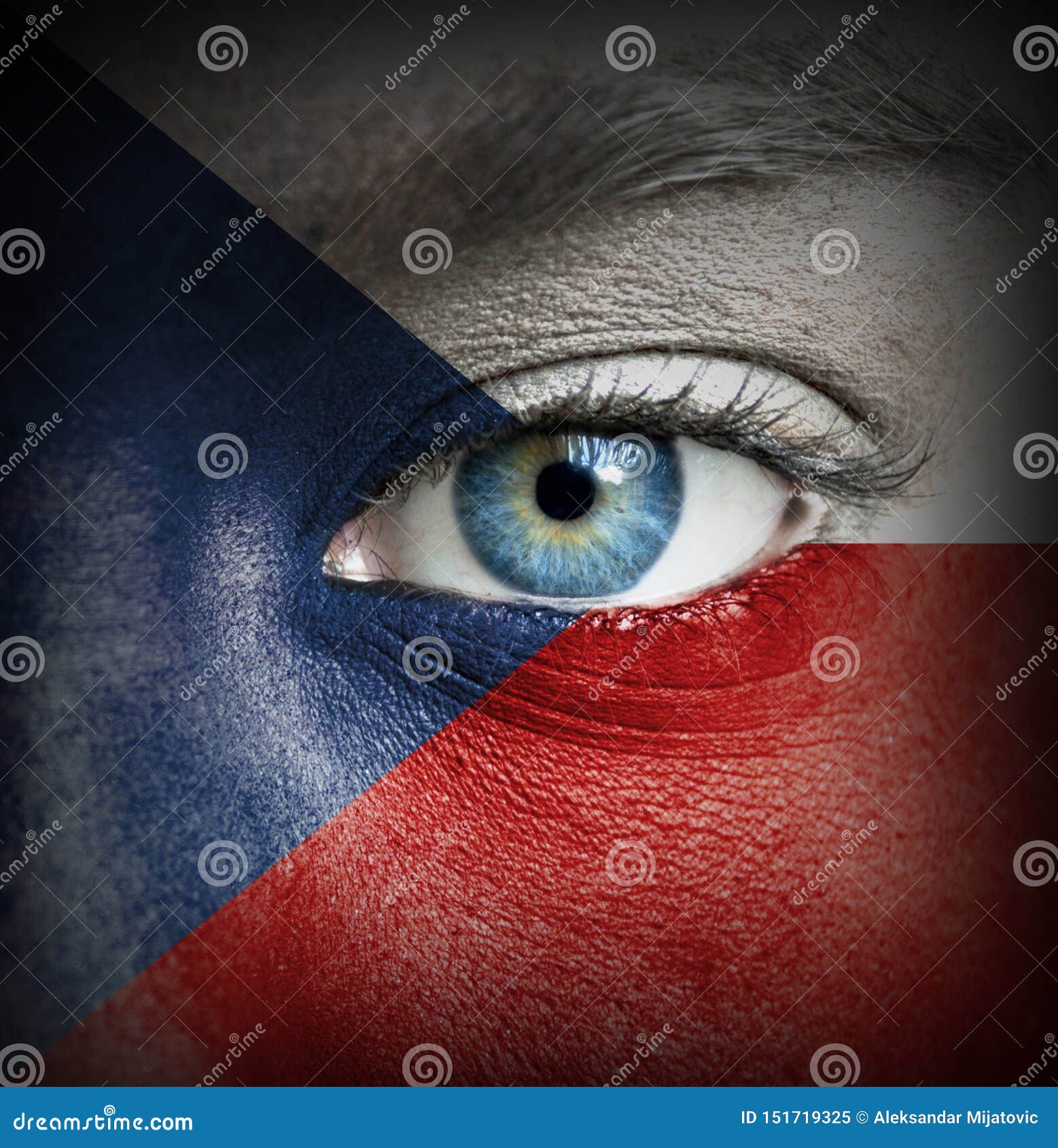 Human Face Painted with Flag of Czech Republic Stock Image - Image of ...