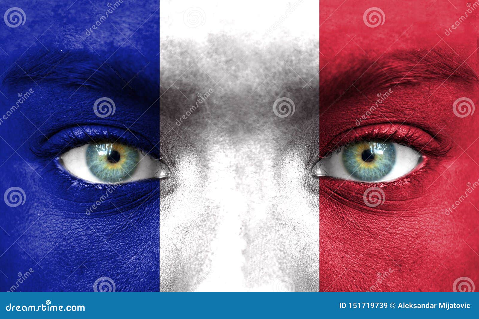 Human Face Painted with Flag of France Stock Image - Image of patriotic ...