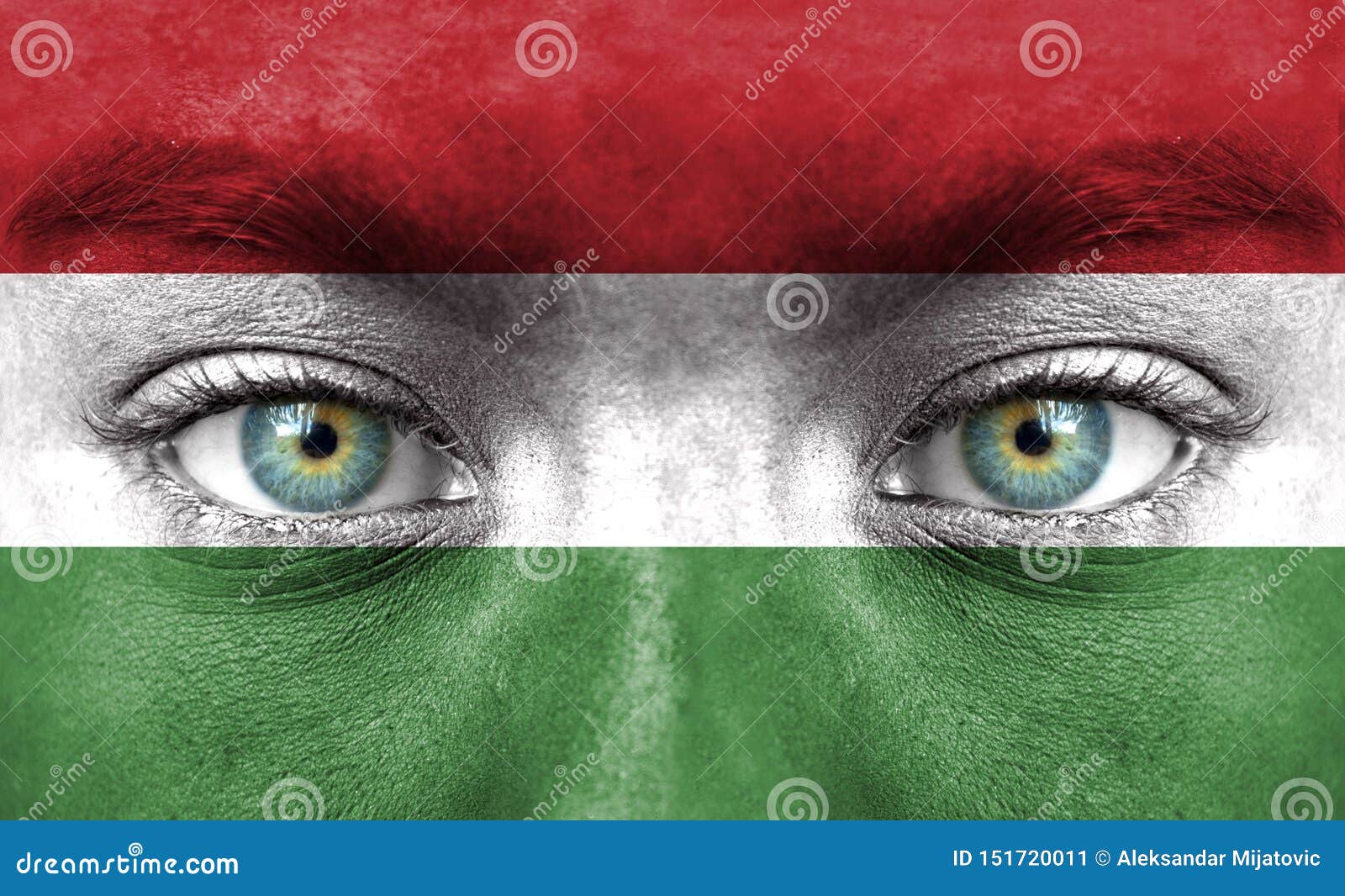 Human Face Painted with Flag of Hungary Stock Image - Image of national ...