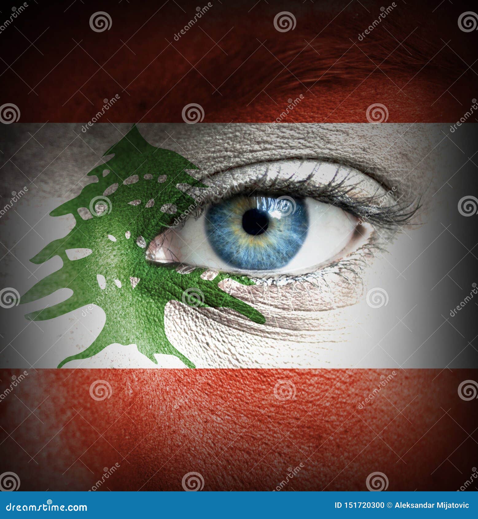 Human Face Painted with Flag of Lebanon Stock Photo - Image of casual ...