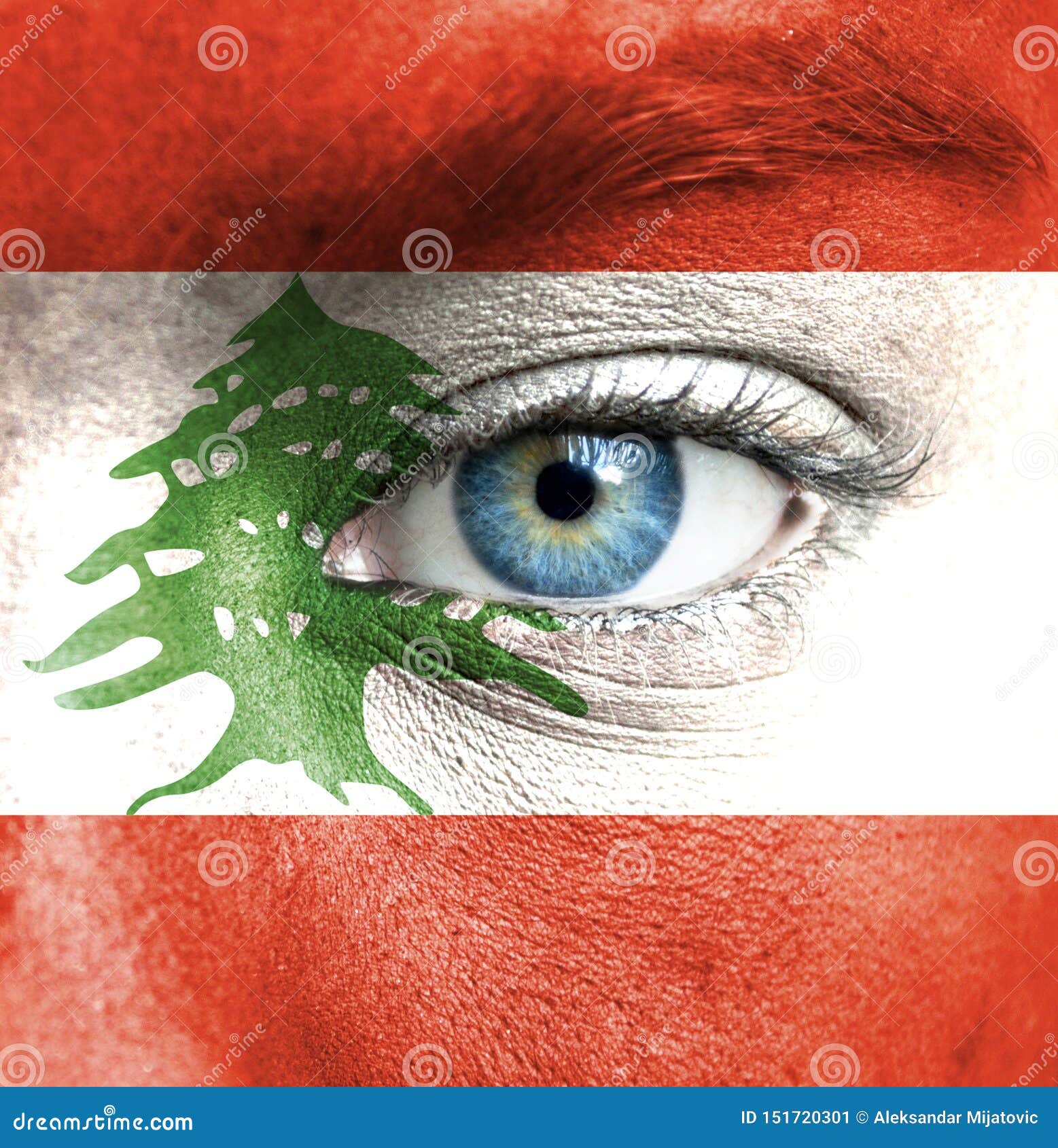 Human Face Painted with Flag of Lebanon Stock Image - Image of football ...