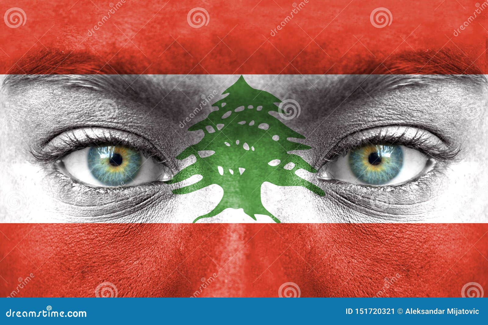 Human Face Painted with Flag of Lebanon Stock Image - Image of flag ...