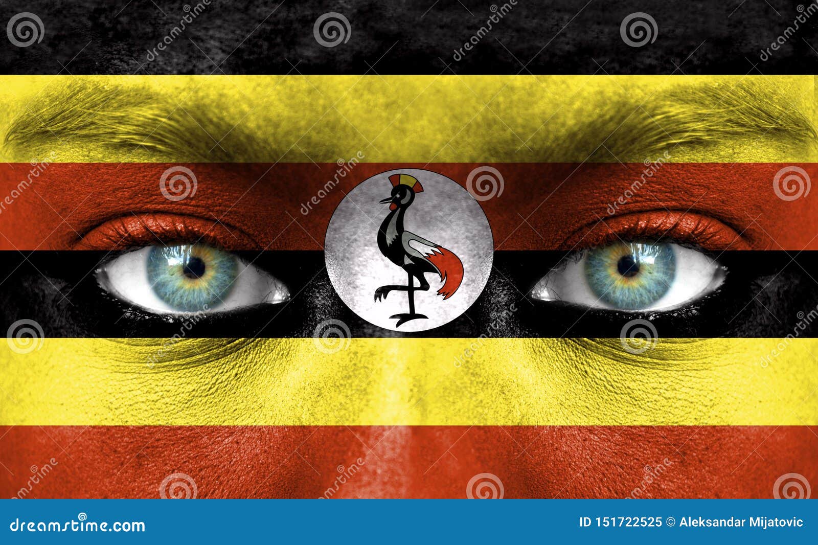 Human Face Painted with Flag of Uganda Stock Image - Image of person ...