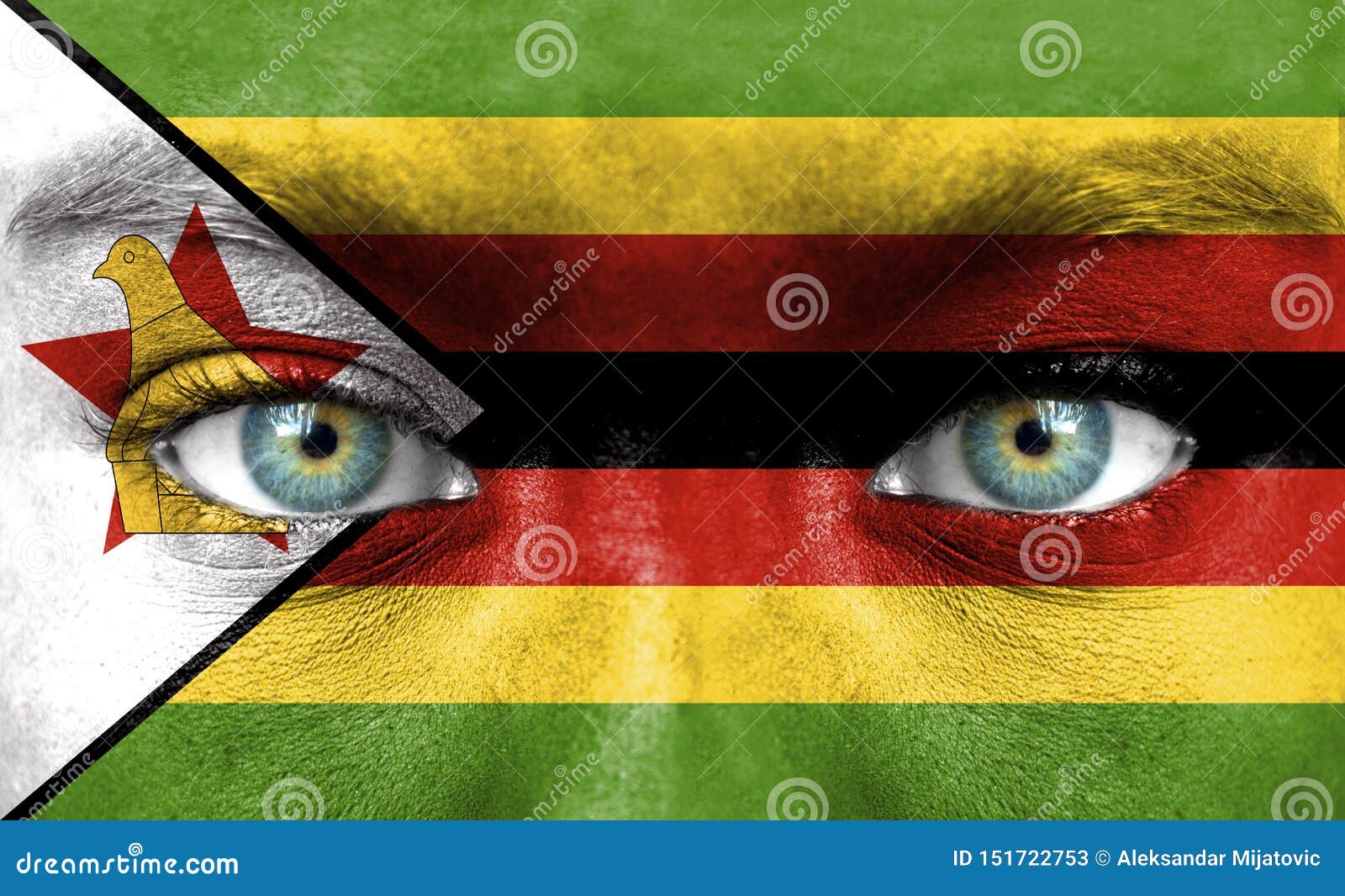 Human Face Painted with Flag of Zimbabwe Stock Image - Image of closeup ...