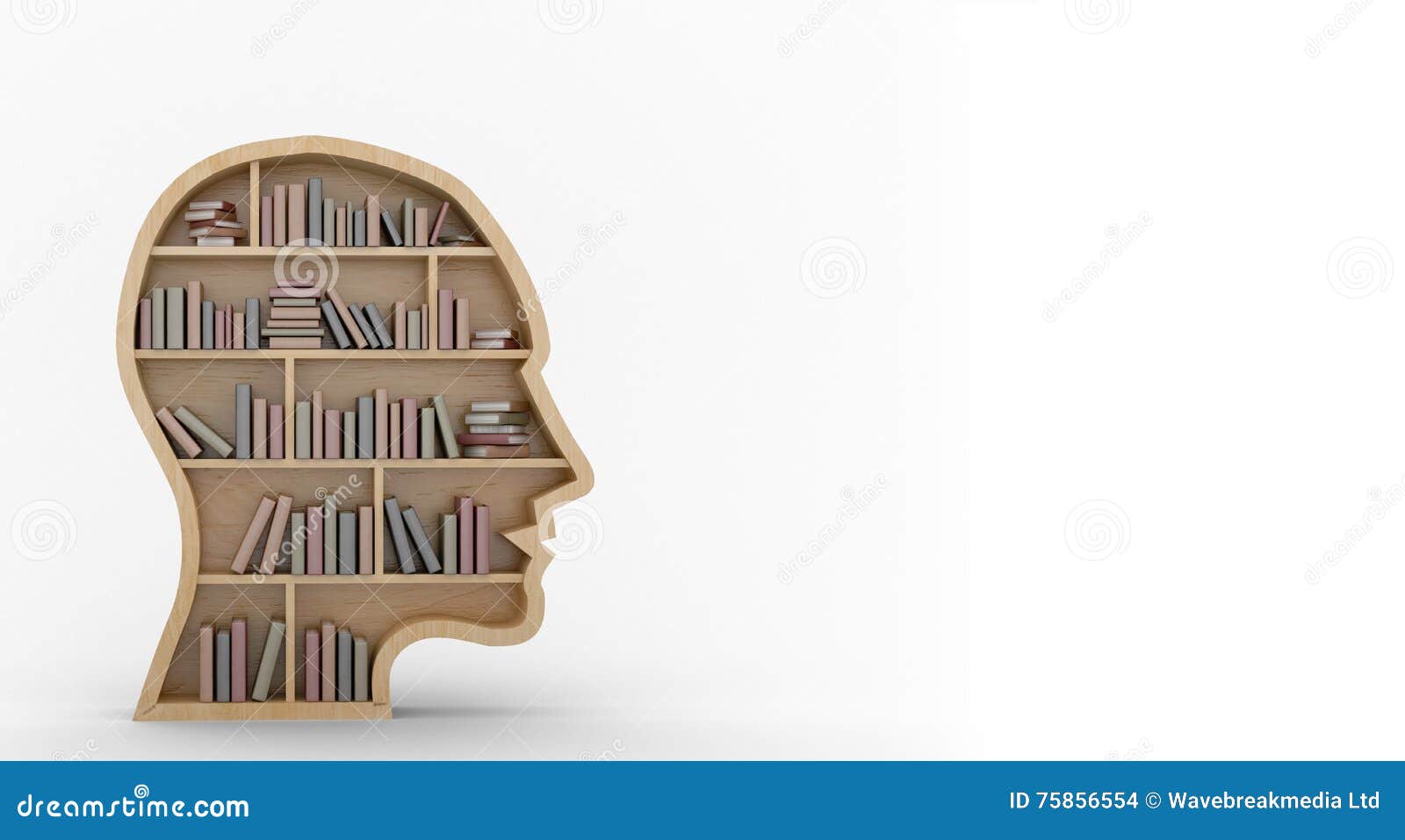 Human Face Shape Bookshelves on White Background Stock Illustration ...