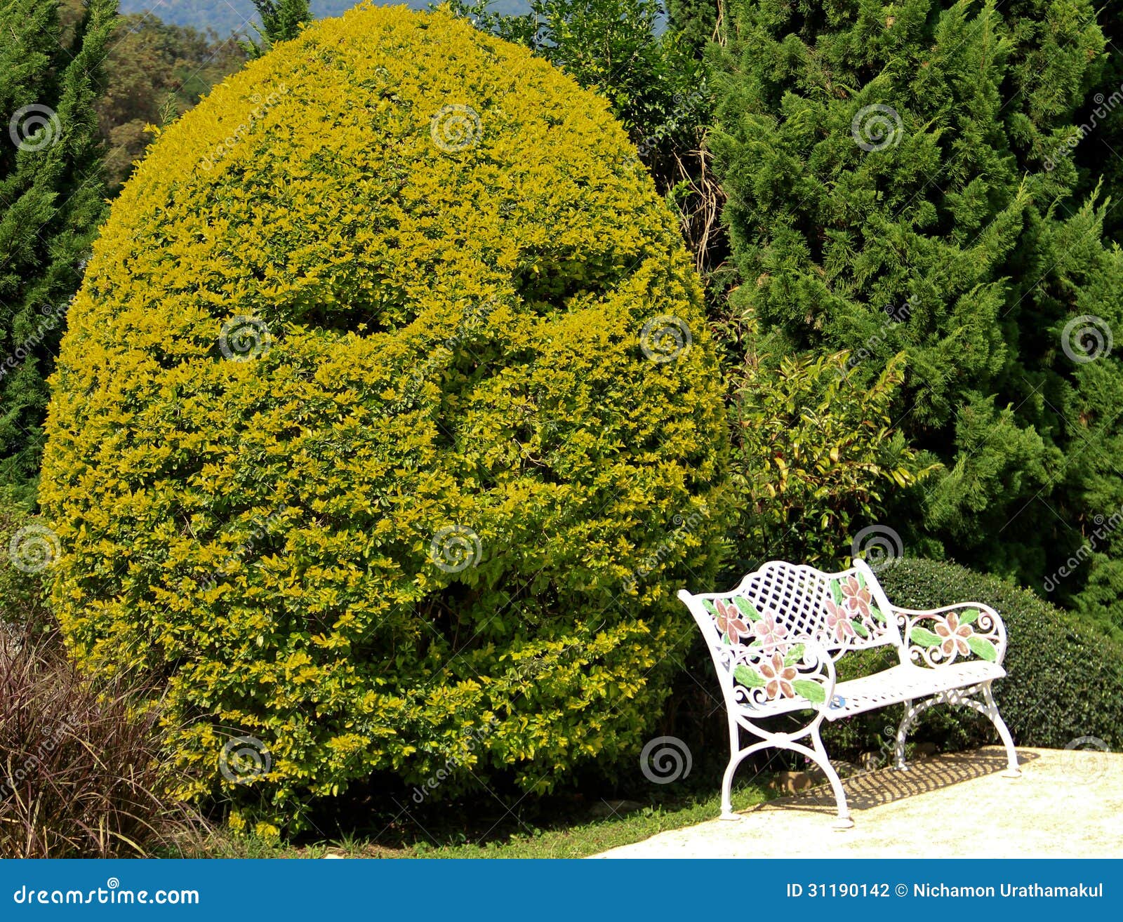 Human face tree stock photo. Image of object, floral - 31190142