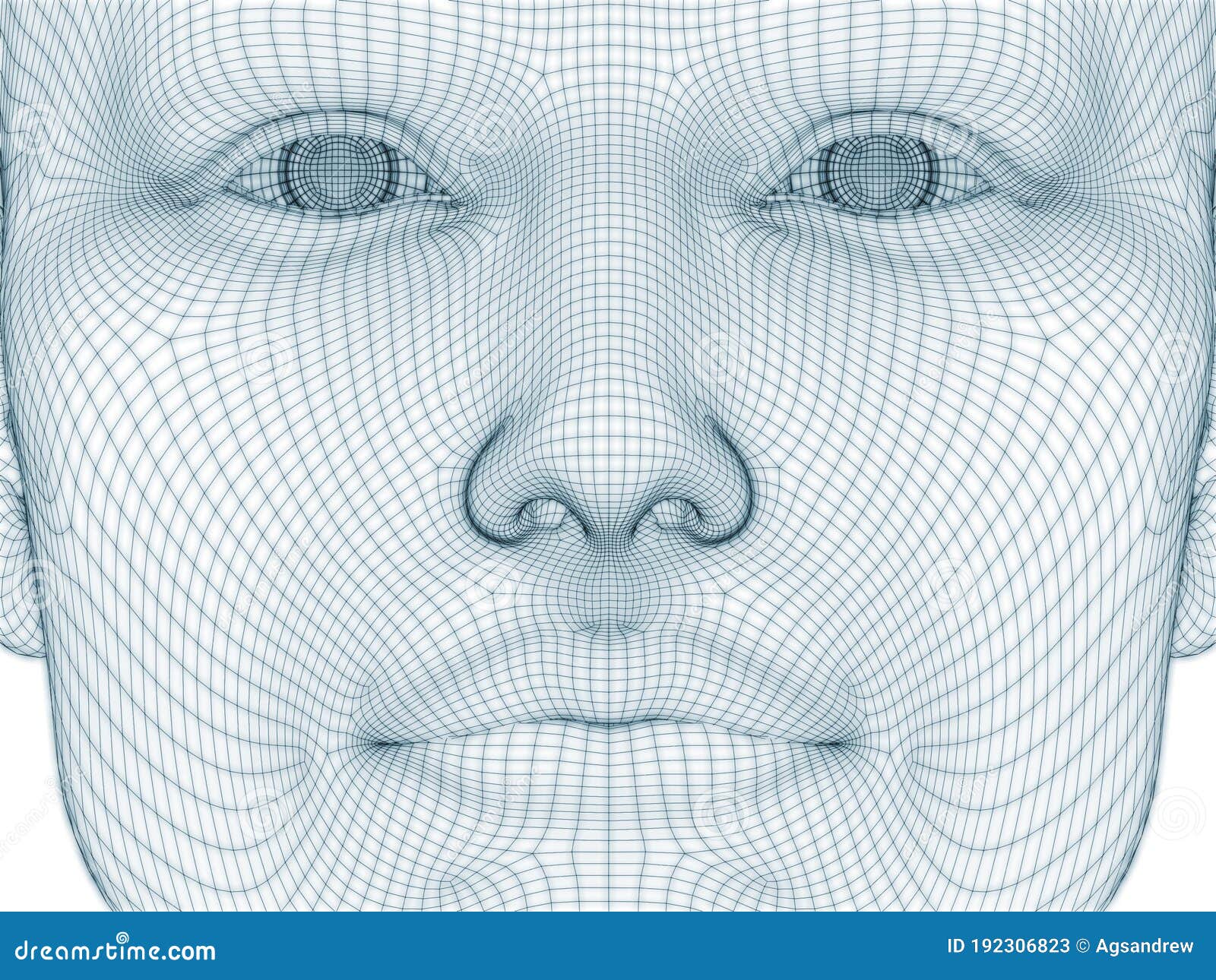 Human Face Wire Mesh stock illustration. Illustration of head - 192306823