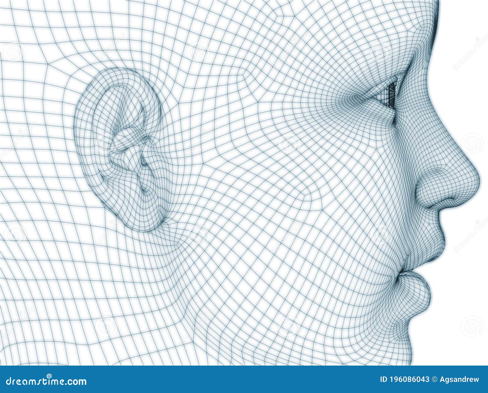 Human Face Wire Mesh stock illustration. Illustration of geometry ...