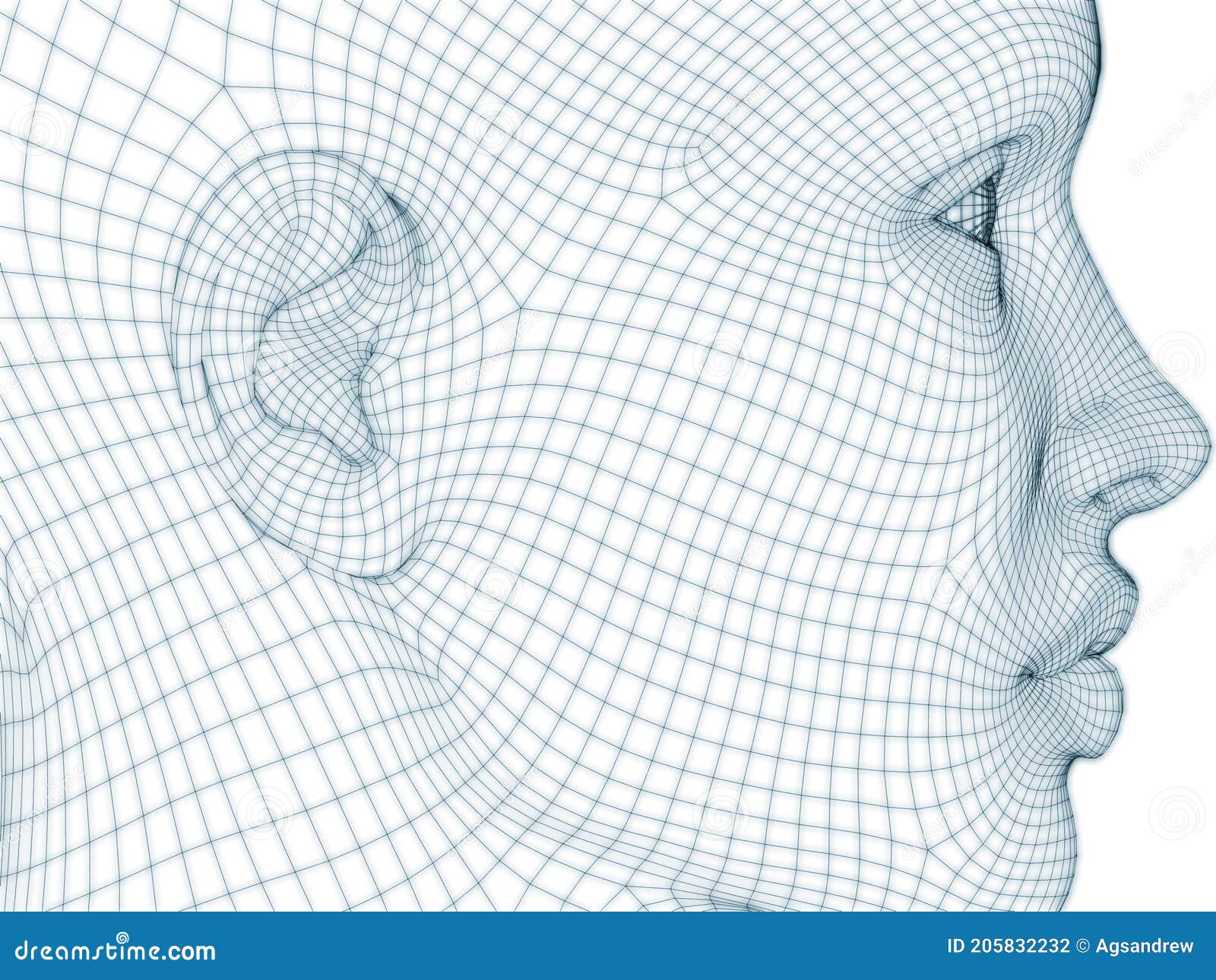 Human Face Wire Mesh stock illustration. Illustration of mesh - 205832232