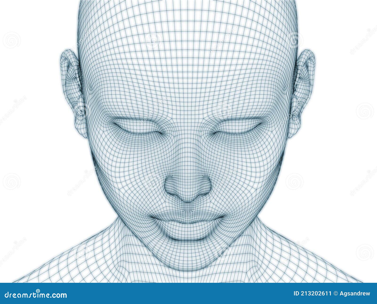 Human Face Wire Mesh stock illustration. Illustration of white - 213202611