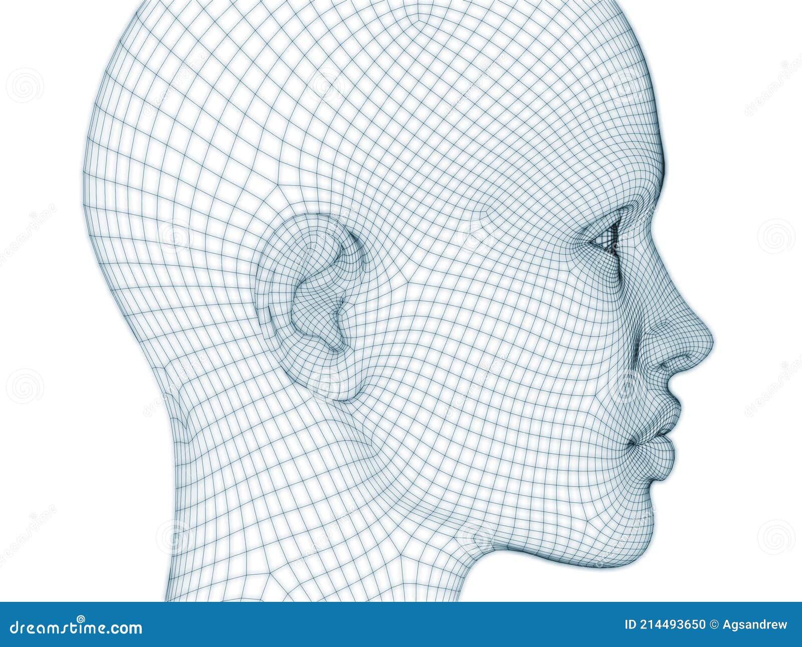 Human Face Wire Mesh stock illustration. Illustration of face - 214493650