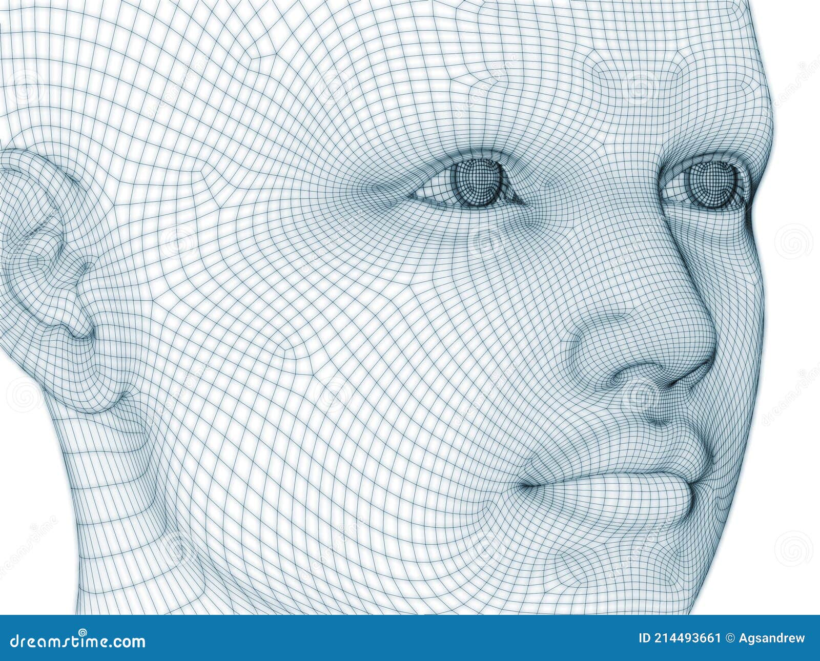 Human Face Wire Mesh stock illustration. Illustration of face - 214493661