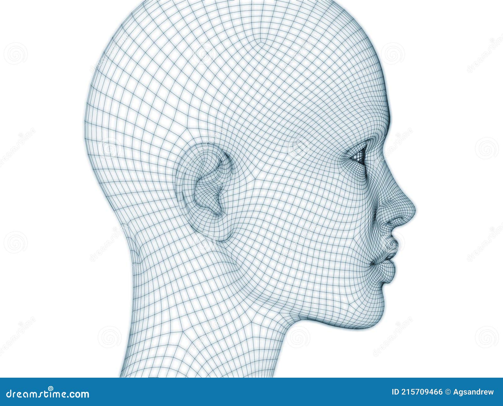 Human Face Wire Mesh stock illustration. Illustration of head - 215709466