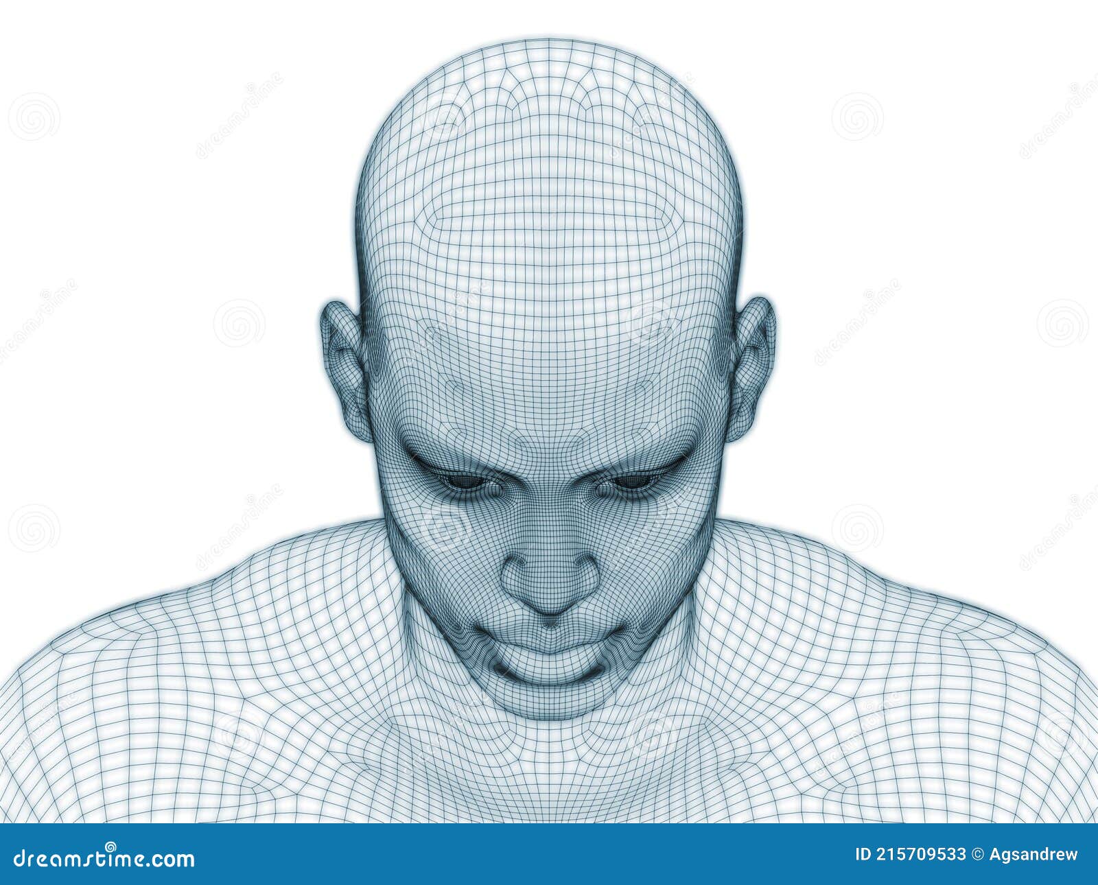 Human Face Wire Mesh stock illustration. Illustration of face - 215709533