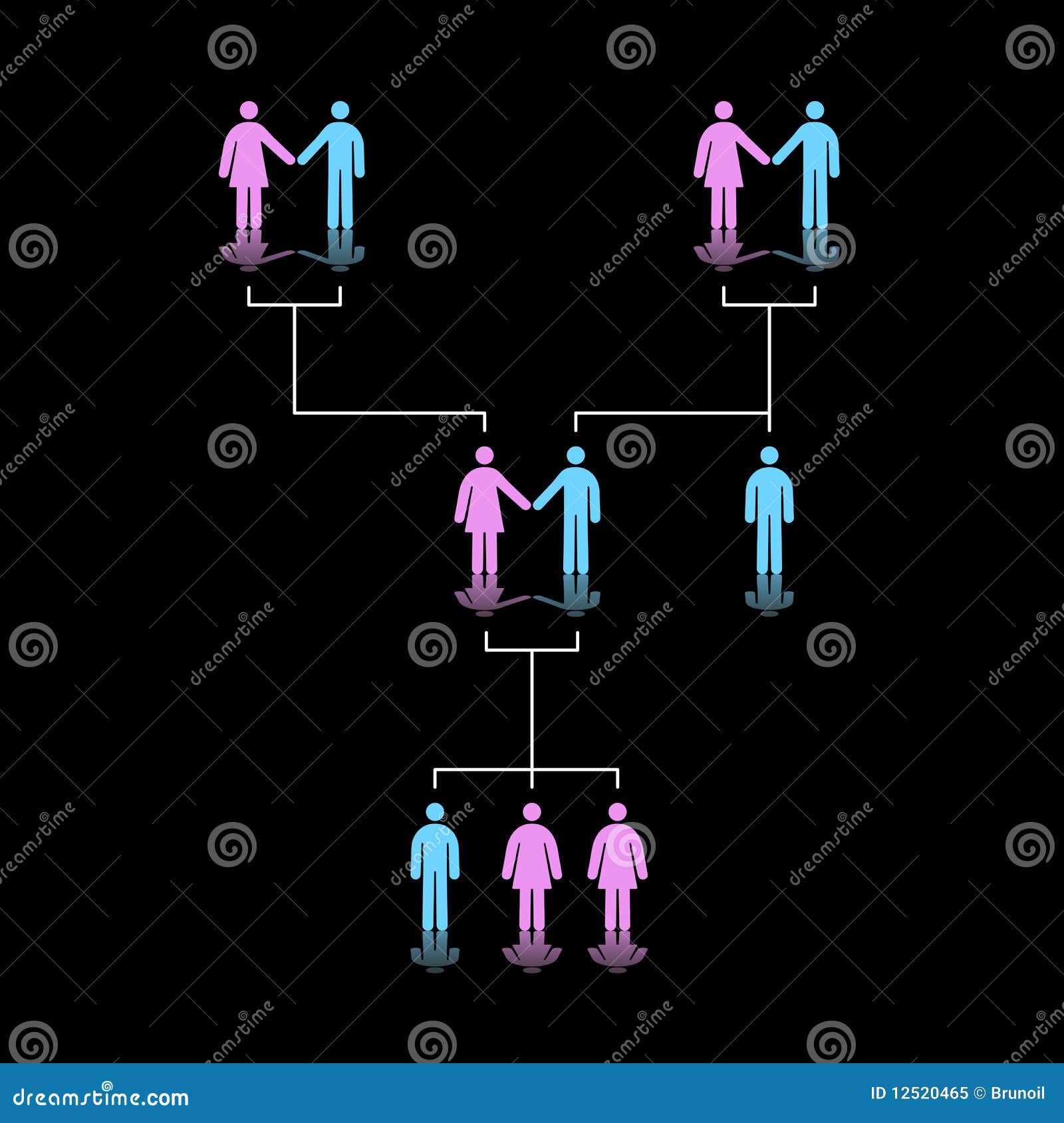 Human Family Tree stock vector. Illustration of duplication - 12520465