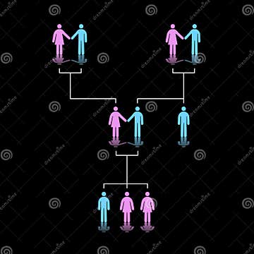 Human Family Tree stock vector. Illustration of duplication - 12520465