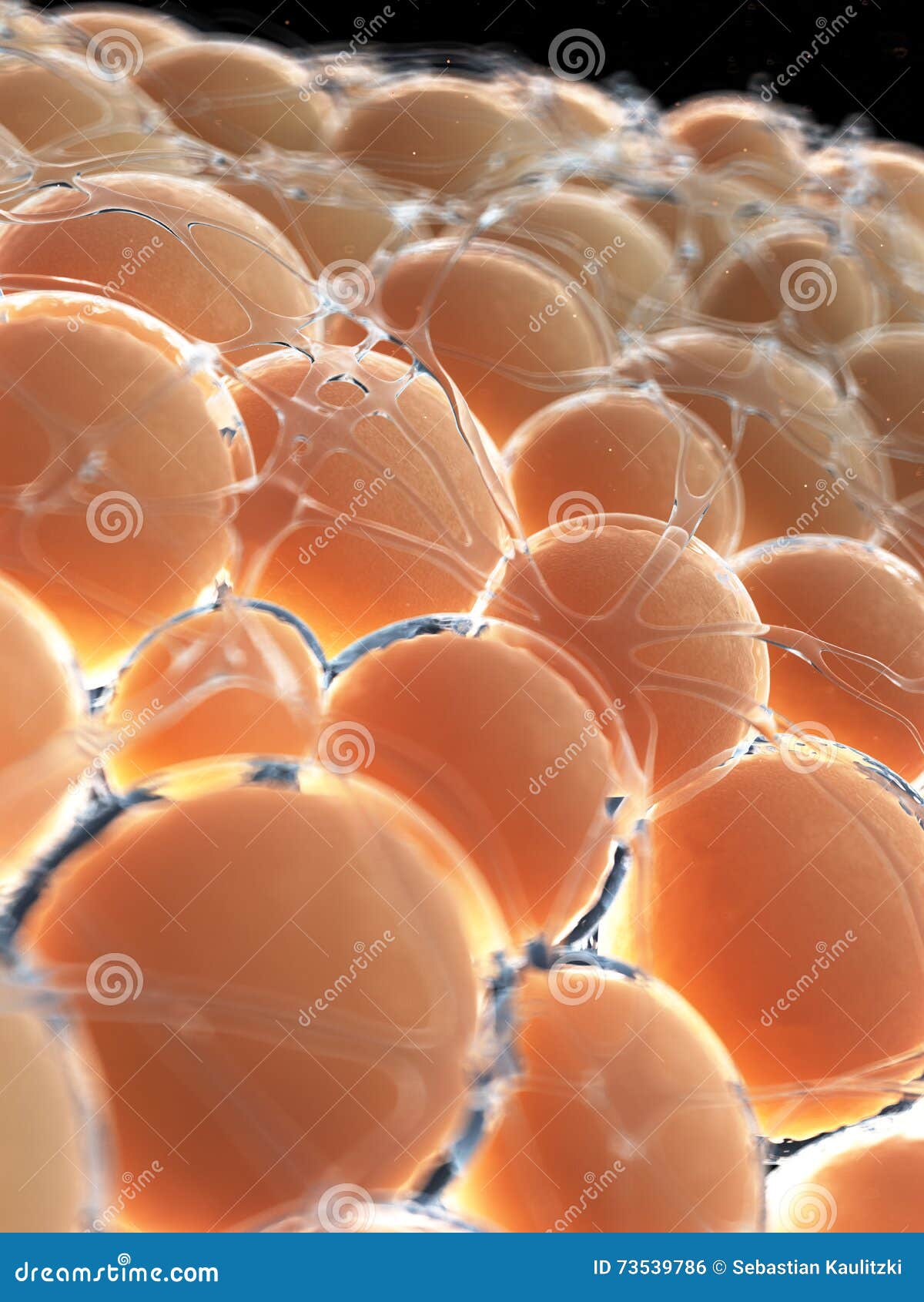 Human fat cells stock illustration. Illustration of medically - 73539786