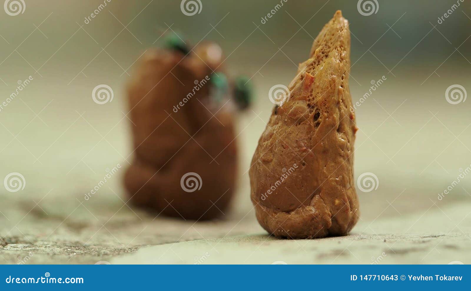 Excrement is a Product of Human Activity Stock Video - Video of cement ...