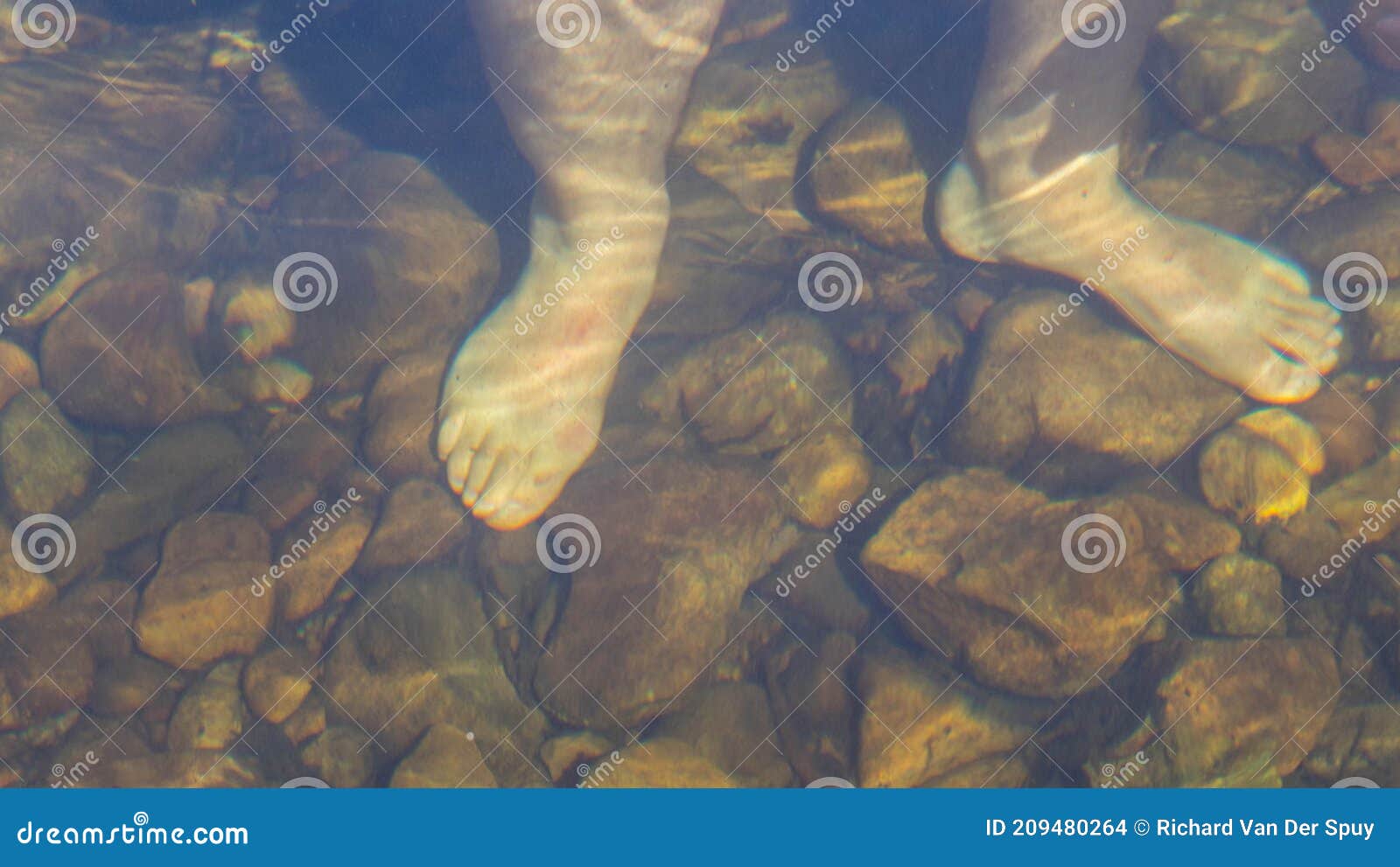 Human feet under water stock photo. Image of horizontal - 209480264