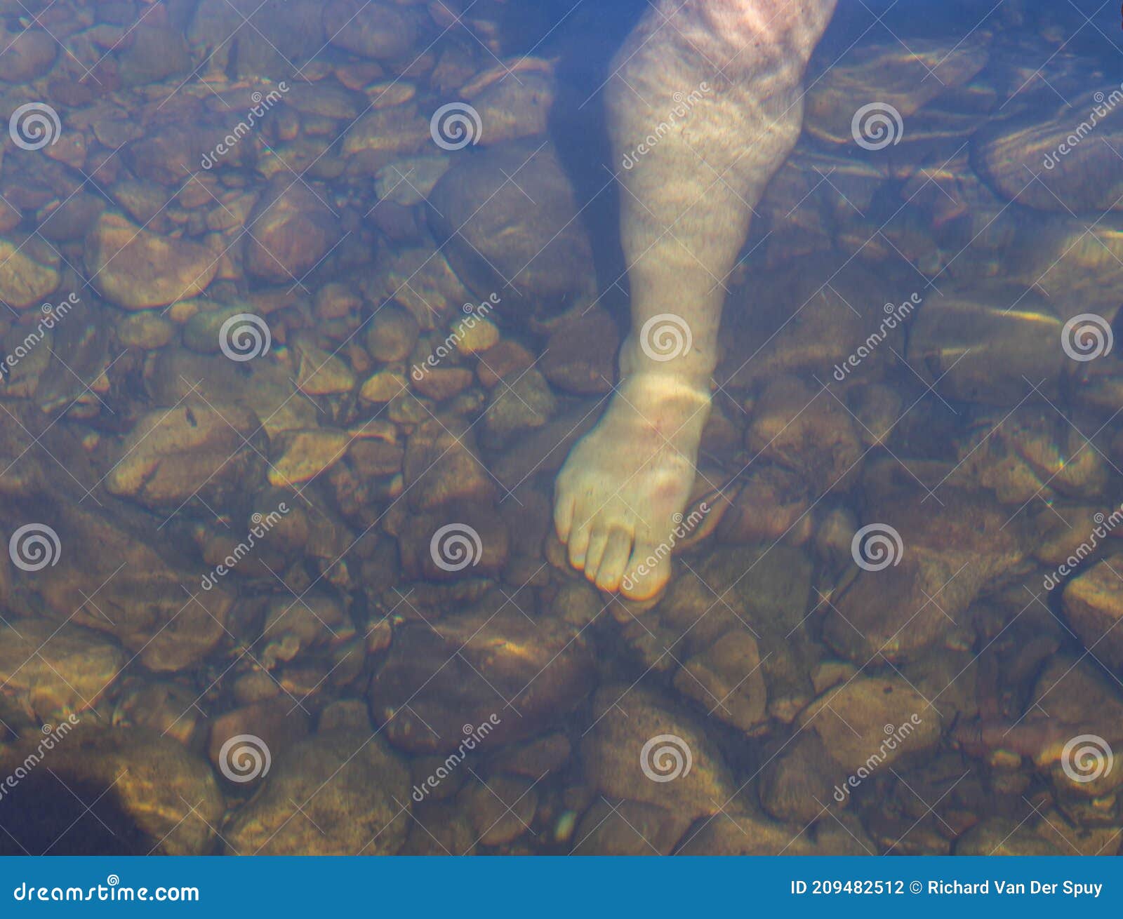 Human feet under water stock photo. Image of scenario - 209482512