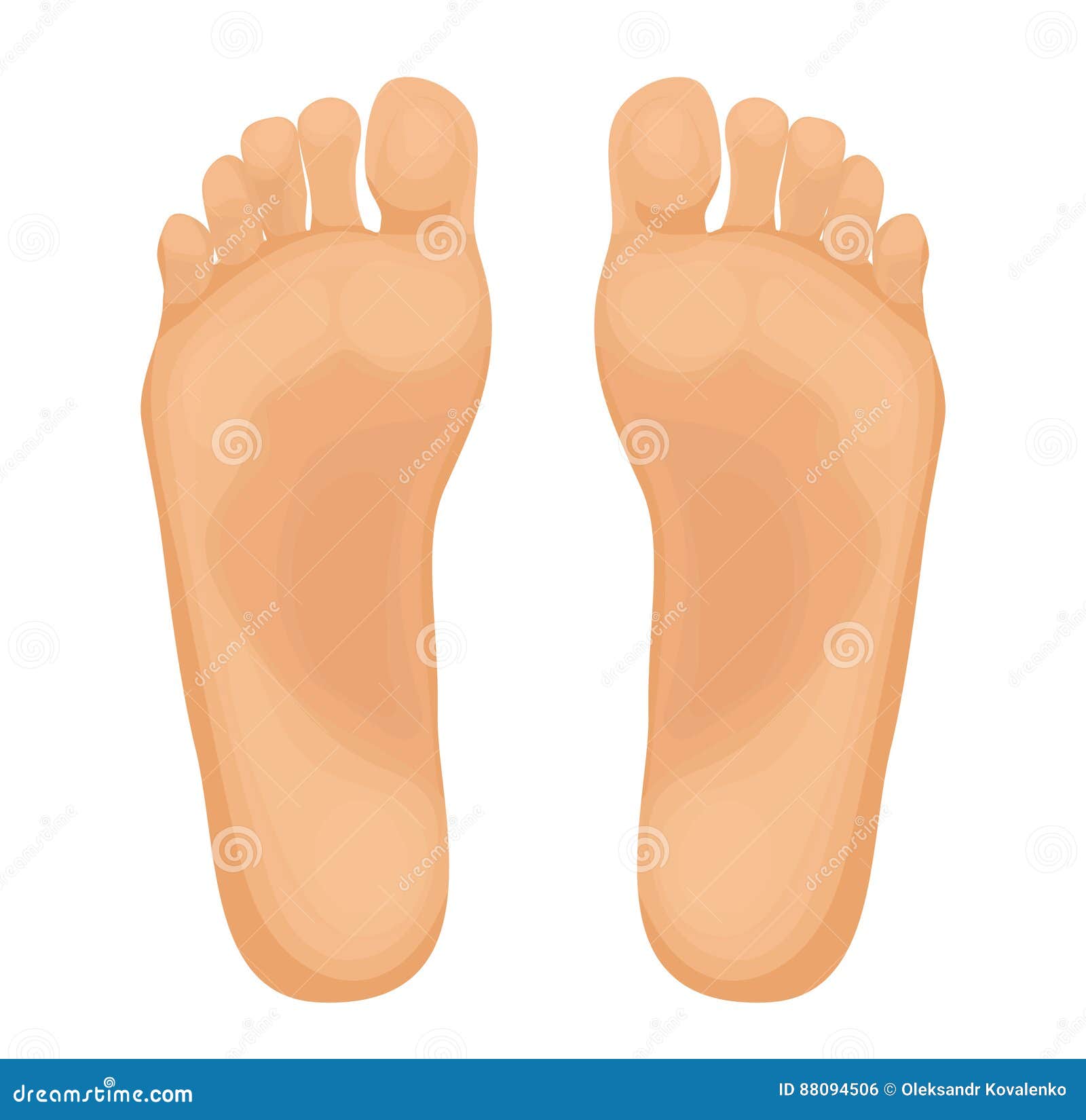 Human Feet Vector Illustration Stock Vector - Image: 88094506