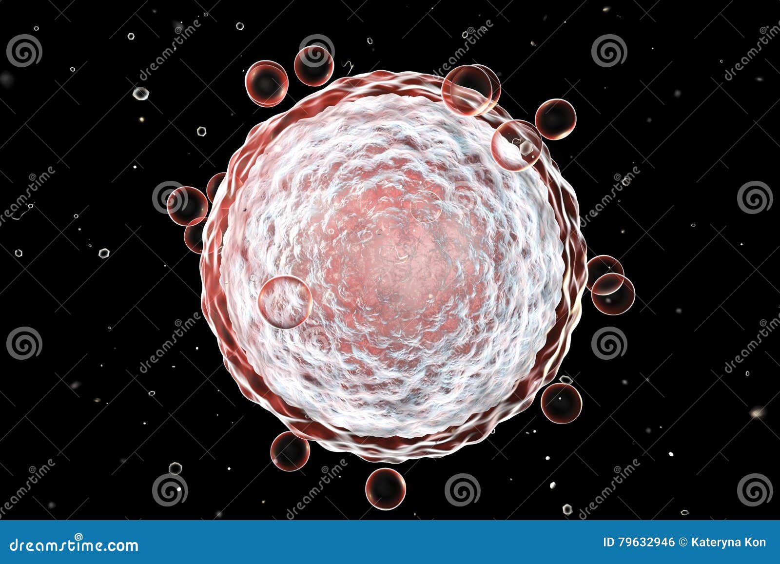 Human female egg cell stock illustration. Illustration of black - 79632946