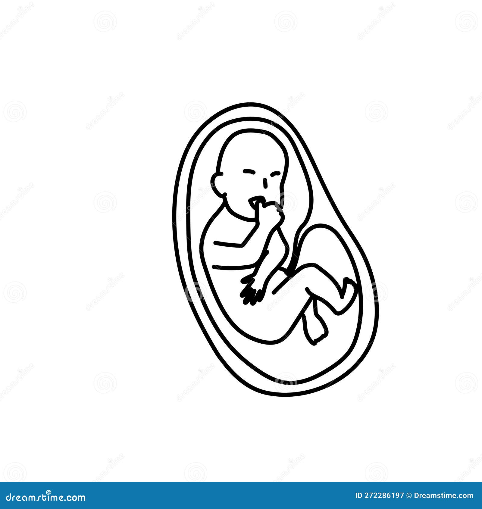 Human Fetus Development Line Art Stock Vector - Illustration of embrio ...