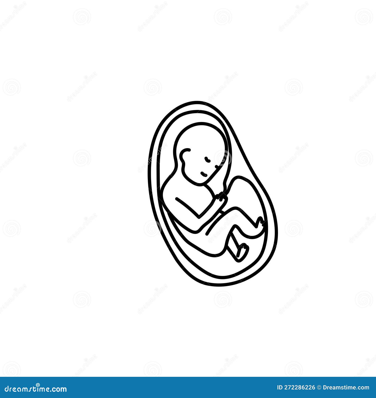 Human Fetus Development Line Art Stock Vector - Illustration of birth ...