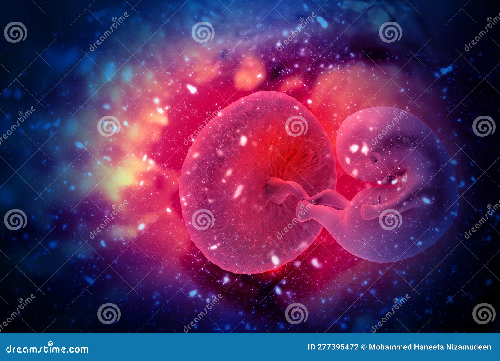 Human Fetus on Scientific Background Stock Illustration - Illustration ...